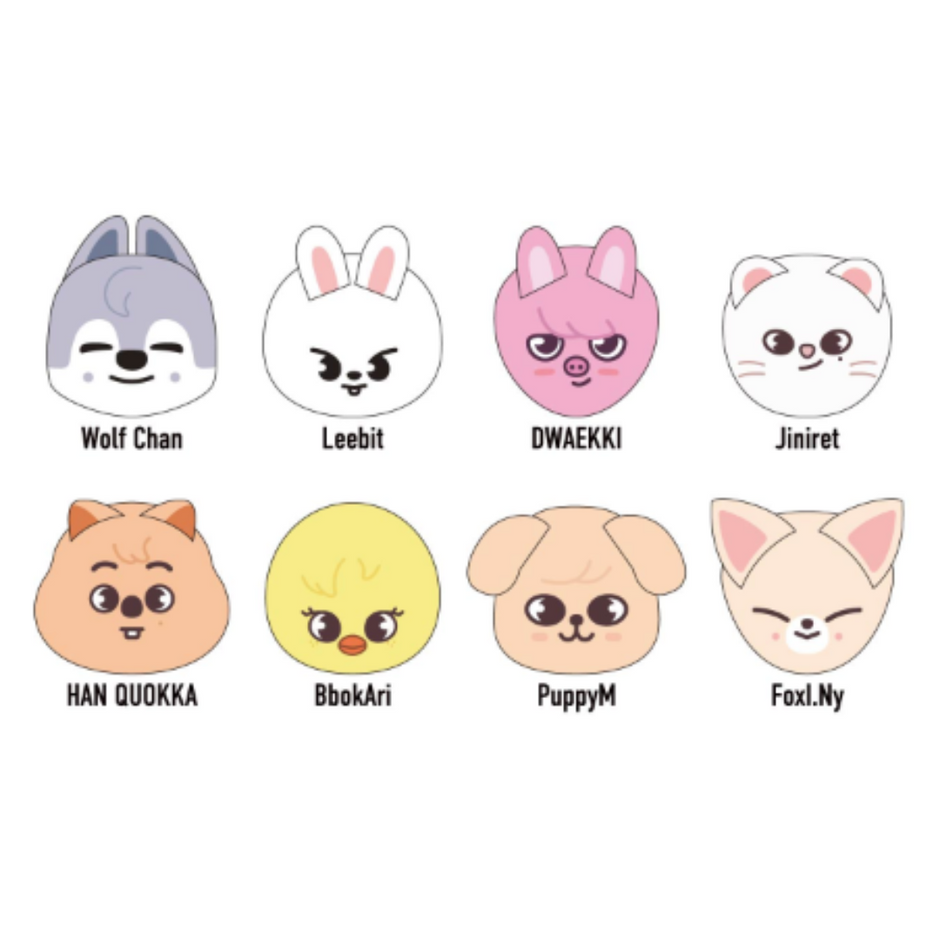 ALL OFFICIAL SKZ MERCH & ALBUMS – Kbyseni